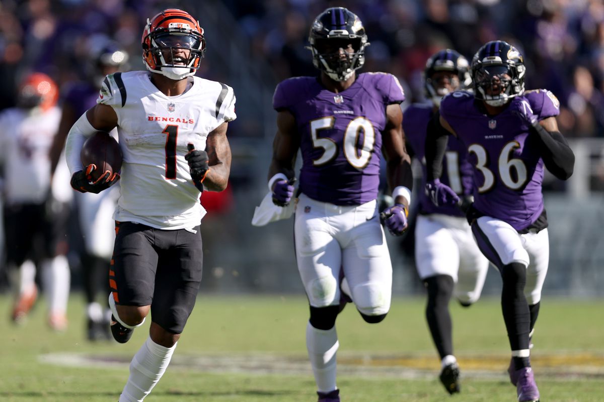 Baltimore Ravens vs. Cincinnati Bengals 1/15/2023-Free Pick, NFL Betting