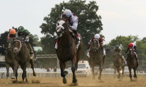 Free Horse Racing Picks For This Week - Expert Race Gambling Odds