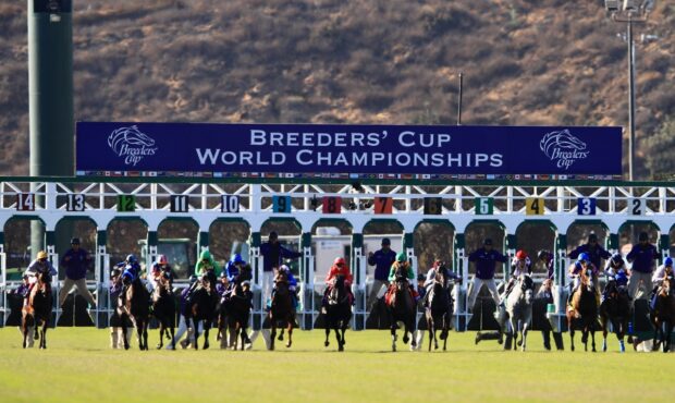 Free Horse Racing Picks For This Week - Expert Race Gambling Odds